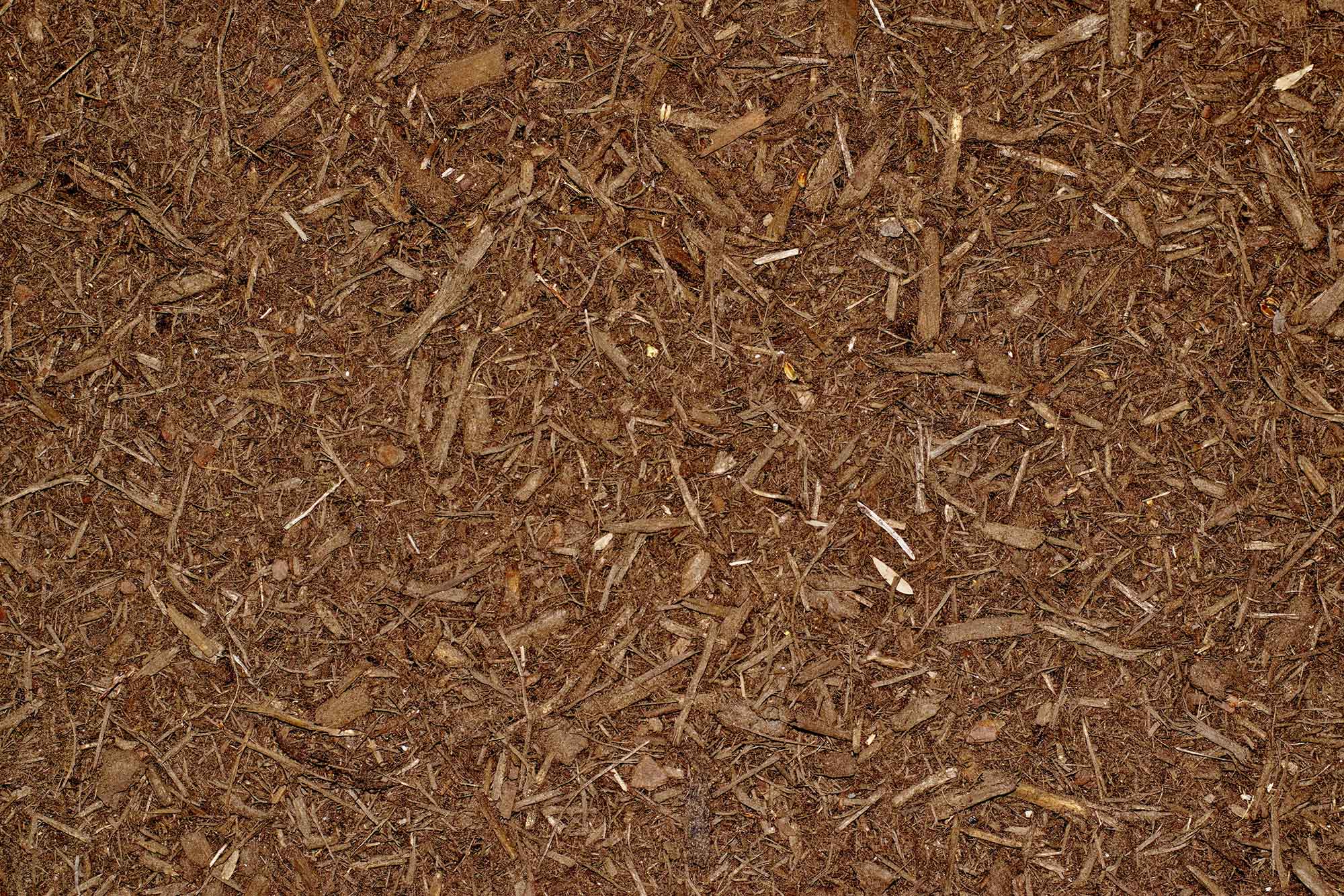 Lemnul, un material ideal pentru izolația casei - Despre Energie